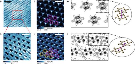 Sthem Of The Mott Insulating And Commensurate Cdw Phase In 1t Tas2 With Download Scientific