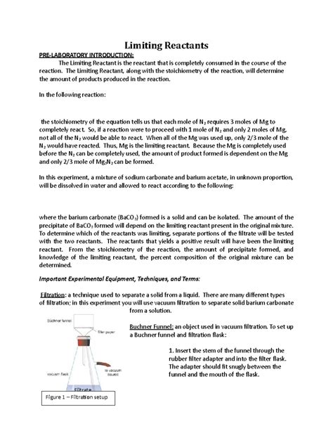 Limiting Reactants With Lab Notebook Report Completed Filtrate Limiting Reactants PRE