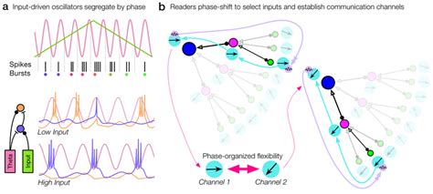 Phase Synchronization And Nested Oscillations Can Sequence Segregate
