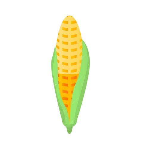 농부 옥수수 아이콘 흰색 배경에 고립 된 웹 디자인을 위한 농부 옥수수 벡터 아이콘의 아이소메트릭 프리미엄 벡터