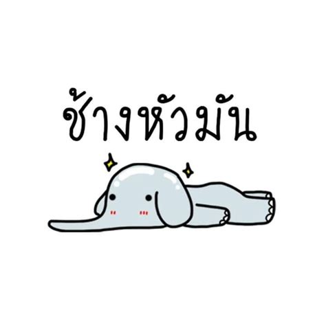 Funny Elephant Meme Happy Elephant Laying Down