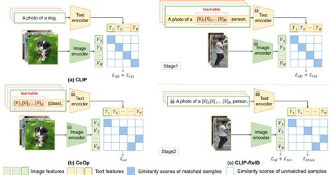 CLIP ReID Exploiting Vision Language Model For Image Re Identification