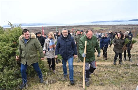 СДСМ Повеќе зелено успешно спроведена акцијата за пошумување во Ресенско