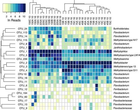 Metabarcoding In Microbial Ecology Physalia Courses