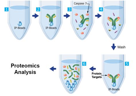 Omics Technologies The Leader In Omics Services