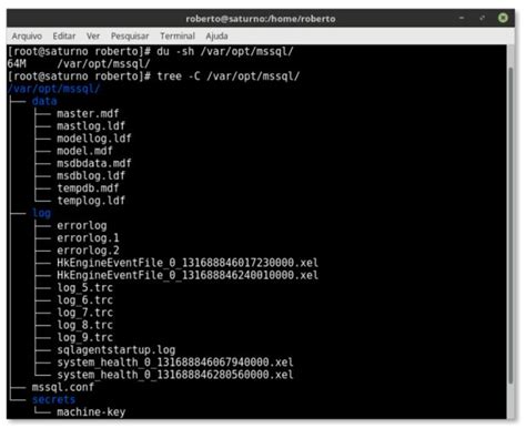 microsoft sql server 2017 em linux instalação e configuração em