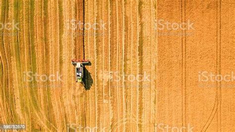 현장에서 일하는 수확기와 밀을 깍는다 우크라이나 공중 보기 공중 뷰에 대한 스톡 사진 및 기타 이미지 공중 뷰 보리 전원 장면 Istock