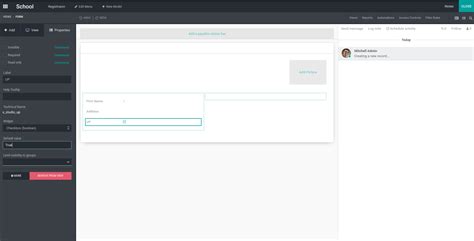 Form View Odoo Studio Book