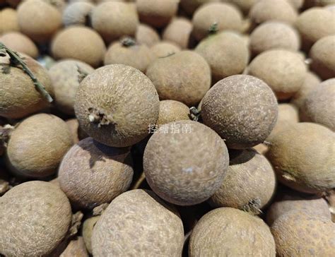 牛奶的升糖指数 Gi值 血糖生成指数 Gi 升糖负荷 Gl值 热量 蛋白质含量 碳水化合物含量 嘌呤含量 控糖指南 乐圣科技