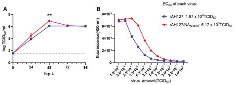 Growth Kinetics Of Rah127 And Rah127na N342k In Mdck Cells And Na