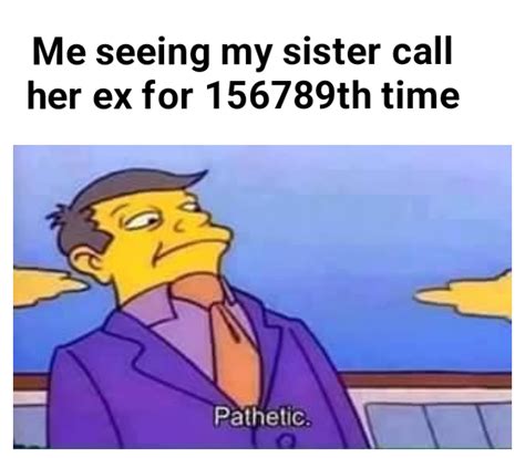 Skinner Pathetic Meme Generator Piñata Farms The Best Meme