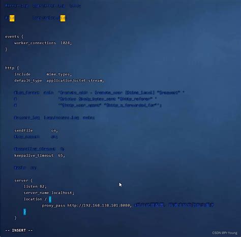 轻量级web服务器nginx：部署、配置与实战应用 Csdn博客