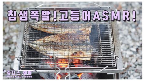 캠핑 요리 추천 생선구이 캠핑 고등어구이 동계캠핑 먹방 말해뭐해일단 드루와 Youtube