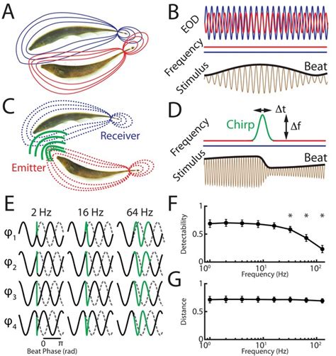 Figures And Data In Stimulus Background Influences Phase Invariant Coding By Correlated Neural