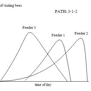 Method Of Determining The Paths Download Scientific Diagram