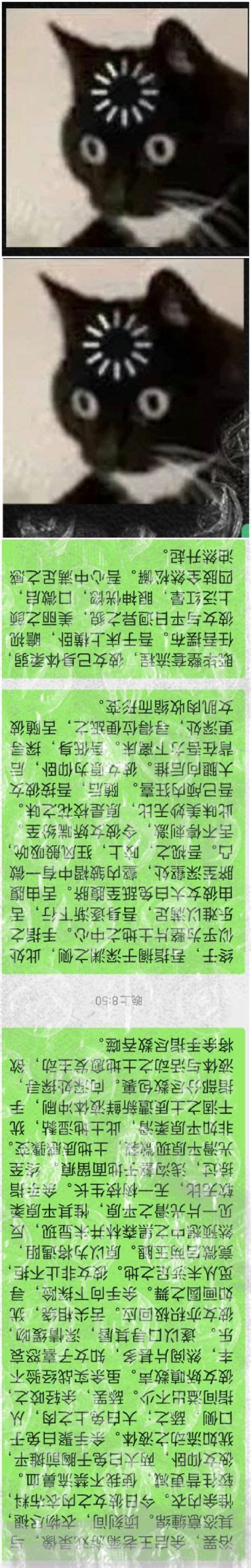 水一下 两百斤肥肥和校花的故事 NGA玩家社区
