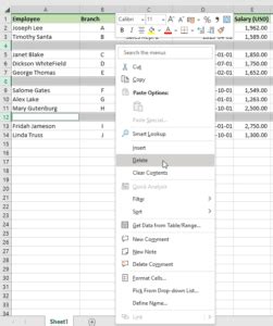 Remove Blank Rows In Excel Ways Vba