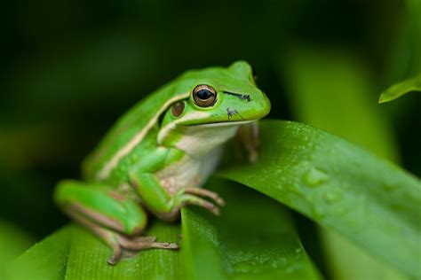 ㅇㅎ 메구리 유머 움짤 이슈 에펨코리아