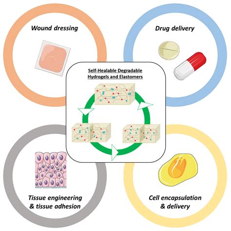 Degradable Self Healable Networks For Use In Biomedical Applications