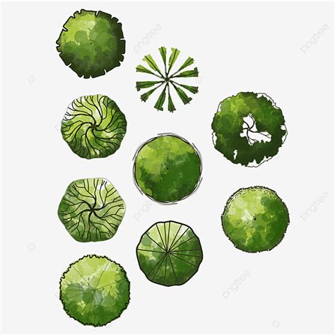 Tree Top View Psd Free Download