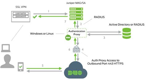 Pulse Secure Juniper Vicafree