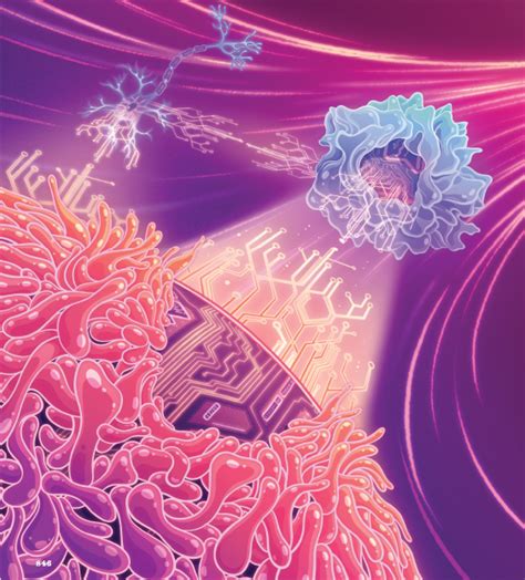Science综述丨合成发育生物学未来：多样性和复杂化 集智俱乐部