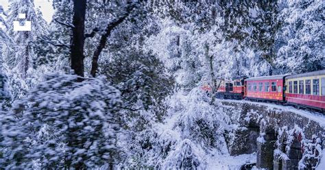 눈 덮인 숲을 통과하는 기차 사진 Unsplash의 무료 회색 이미지
