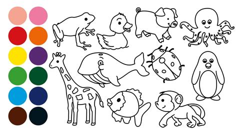 Dibujos De Animales Para Niños 🐘 Pocoyo Y Los Animales Aprende