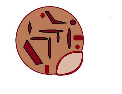 Phylum Sarcodina Examples Classification And Characteristics Eukaryotic Cell Algae Cell