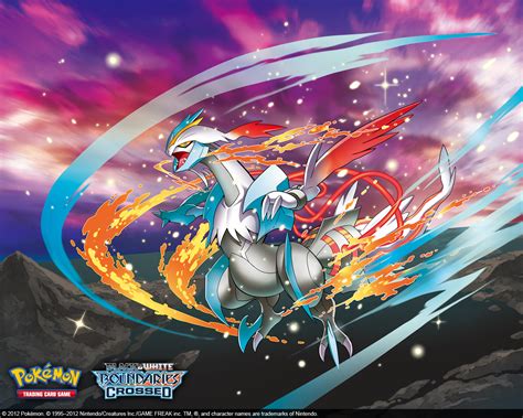 Kyurem And White Kyurem Pokemon And 2 More Danbooru