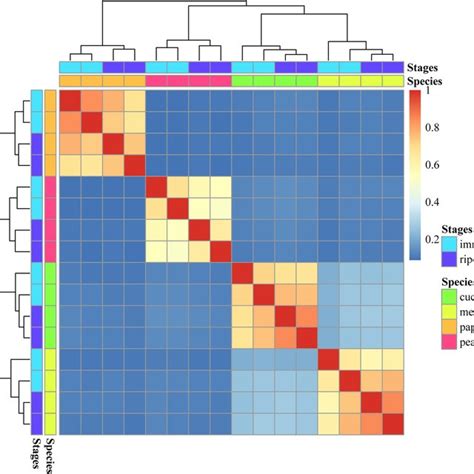 Clustering Of Alternative Splicing Profiles Among The Fruits Download Scientific Diagram