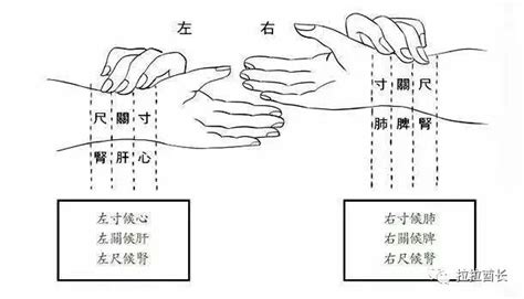健康 中医脉诊的三部九候是什么意思 凤凰网