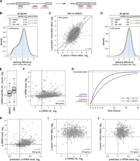 Assessment Of Global Splicing Efficiency By Rna Seq A Schematic