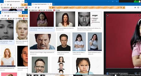 谷歌图片的爬虫库（附加必应图片爬虫） 针对近期谷歌变了为什么必应爬虫只有5张 Csdn博客