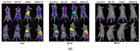 Novel Lipid Nanoparticles Stable And Efficient For MRNA Transfection To Antigen Presenting Cells