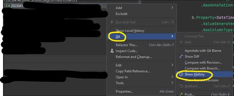 Git Show History Hangs Rider Support JetBrains