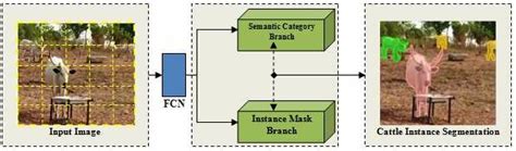 Framework Of Solo Based Cattle Instance Segmentation Solo Network