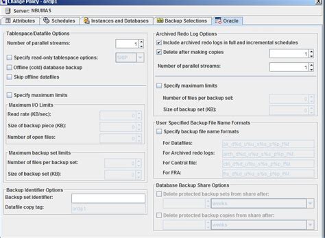 Remote Infrastructure Management Oracle Database Backup And Recovery