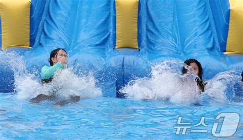 더위 날리는 입수 뉴스1