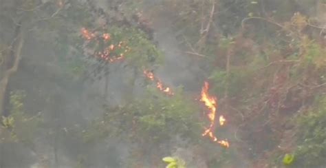 Firedetectioninthejungle Object Detection Dataset By Suman Gole