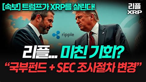 긴급 트럼프가 리플을 살린다 Sec 규제 완화 And 국부펀드 충격적 소식 리플 리플전망 Xrp 알트코인 Sec