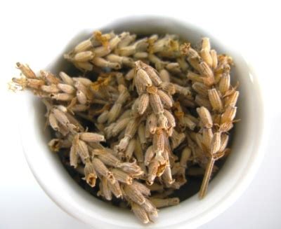 Lavender Tea An Aromatic Calming Tea