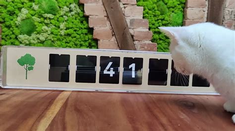 Video Reviewforest On Linkedin Our Tree Counter Is Simple And