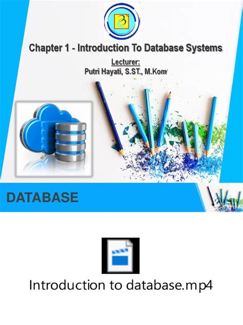 chapter 1 introduction to database systems pdf metadata databases