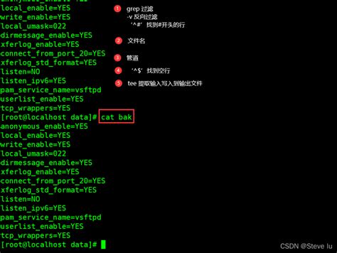 Shell编程前奏，linux文本处理工具汇总grep、cut、sort、tee、diff、paste、tr（二） 阿里云开发者社区