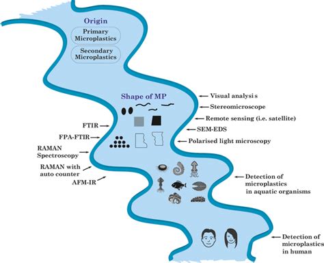 Evolution And Impact Of Microplastic Detection Download Scientific Diagram