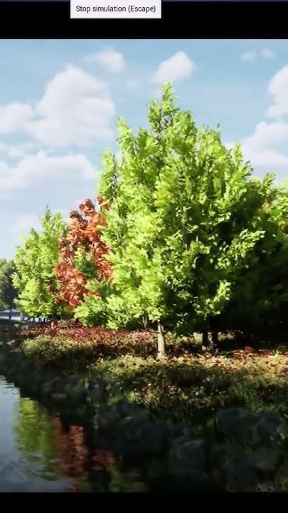 Cgi Tree Growth Animation In Unreal Engine 5 Cgi Ue5 Speedtree Gaming Trees Landscape