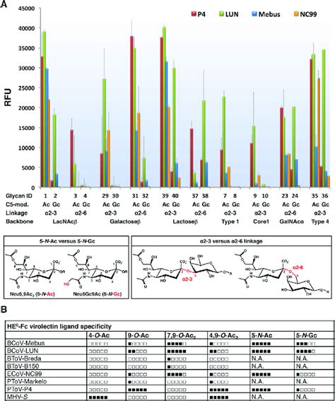 Glycan Array Analysis A Differential Recognition Of Download