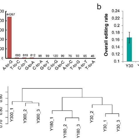 Expression Levels Of Adars And Rna Editing Regulators At Three