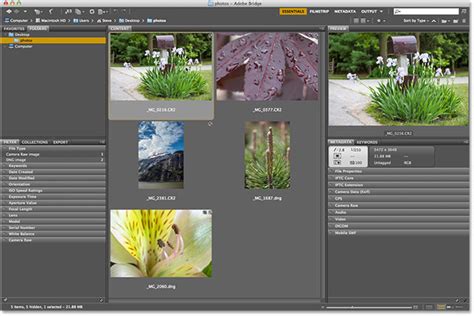 CS Camera Raw Interface Essentials Tutorial